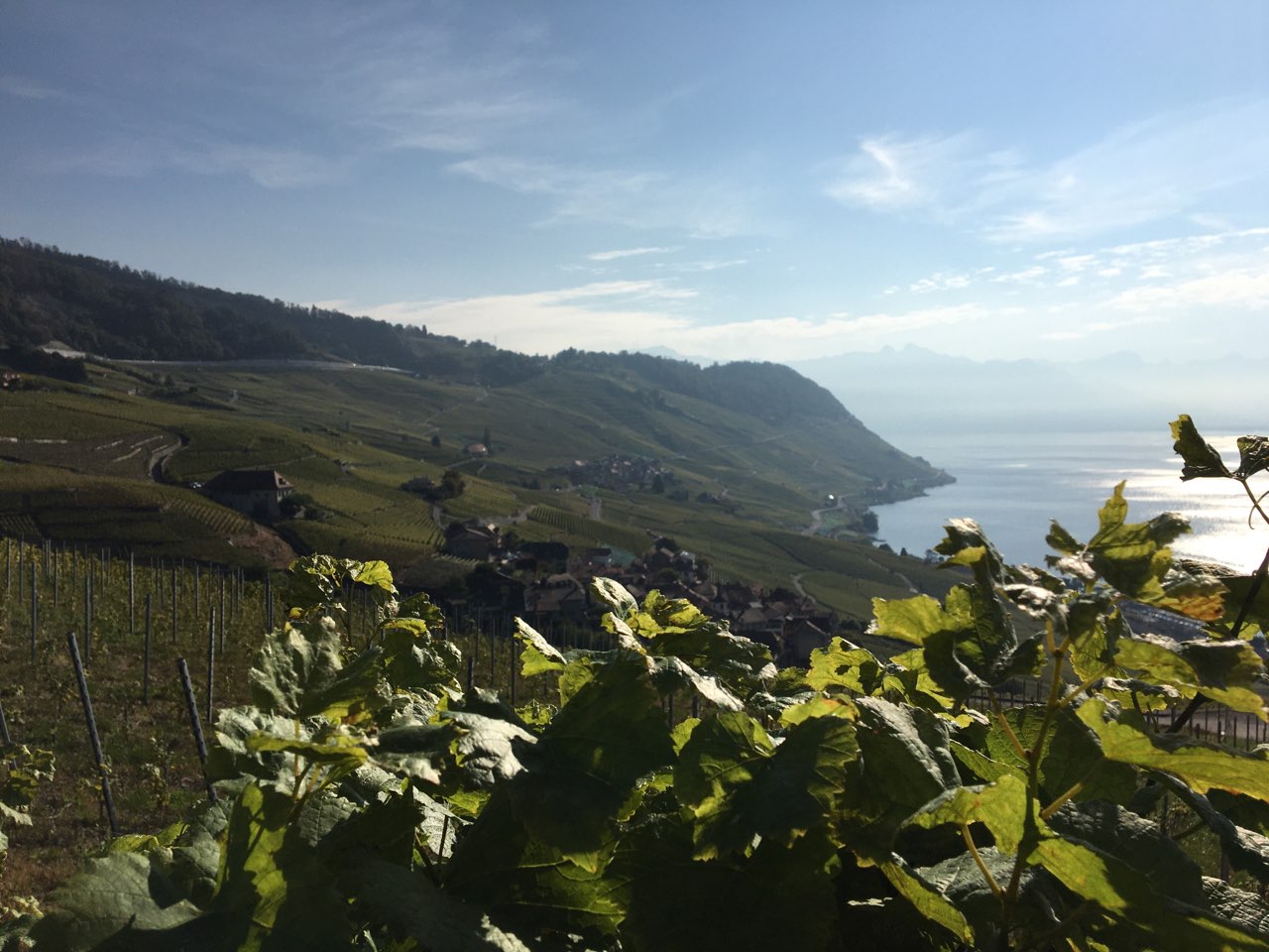 20211012_Lavaux